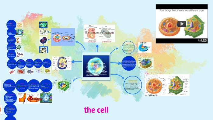 The cell (from Latin cella, meaning "small room"[1]) is the by Dahira ...