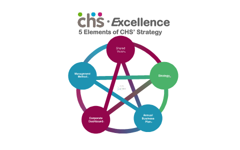 CHS Strategy 1 by Brian Moulder on Prezi