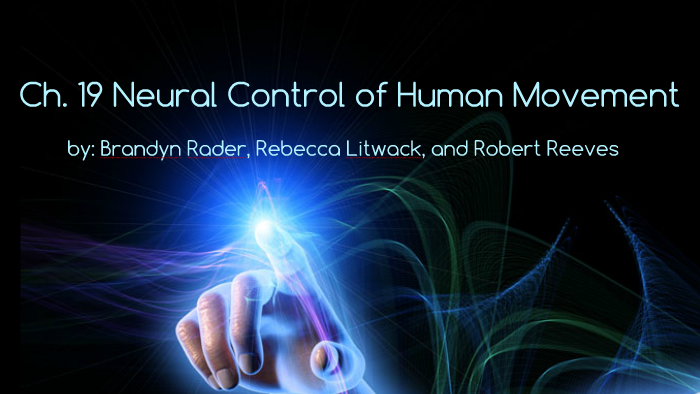 Neural Control of Human Movement by Robert Reeves on Prezi