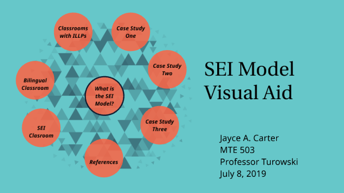 SEI Model Visual Aid by Jaycee Carter on Prezi
