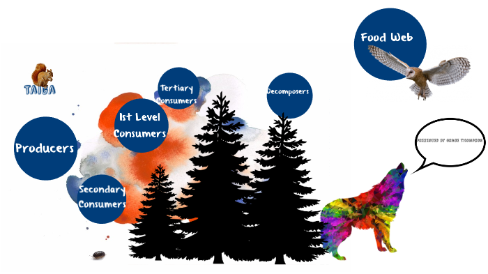 Taiga Ecosystem-Grace by Grace Thompson on Prezi