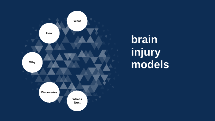 Brain Injury Models by Paige Martin on Prezi