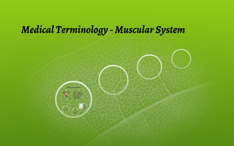 Medical Terminology - Muscular System by Lori Koziol on Prezi