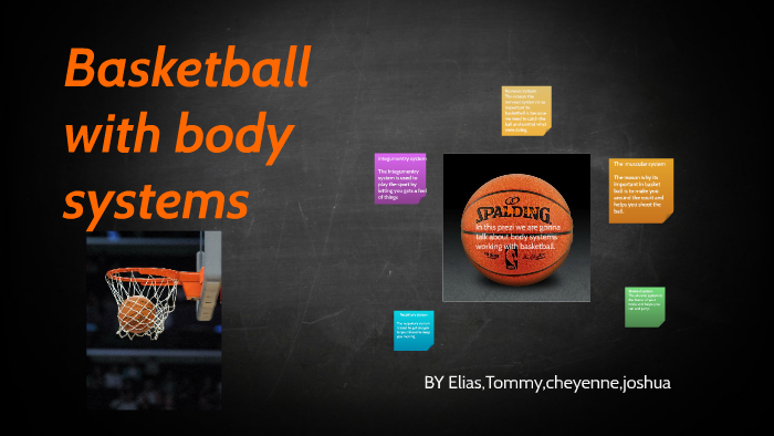 Basketball with body systems by Billy Bob on Prezi