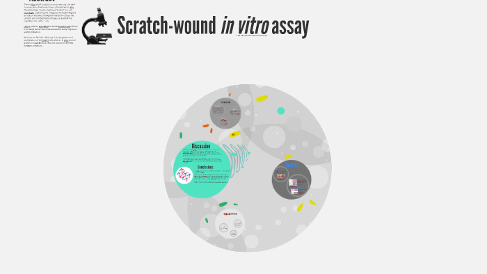 Scratch-wound in vitro assay by Silvia Lezcano on Prezi