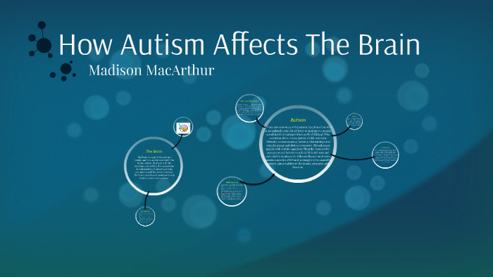 How Autism Affects The Brain by Madison MacArthur on Prezi