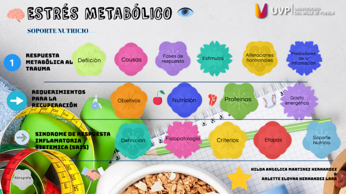 Estrés metabólico by Arlette Hernandez on Prezi