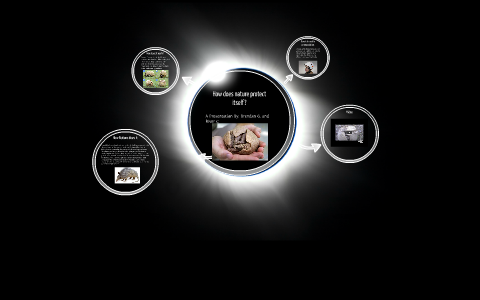 How does nature protect itself? by Brendan Gillingham on Prezi