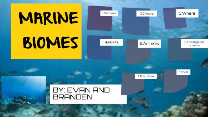 Learn about the marine biome (lesson use) by Evan he on Prezi