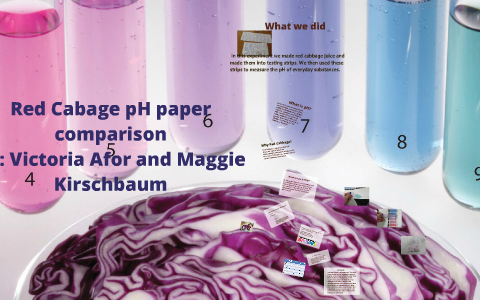 Red Cabbage pH indicator by Victoria Afor on Prezi