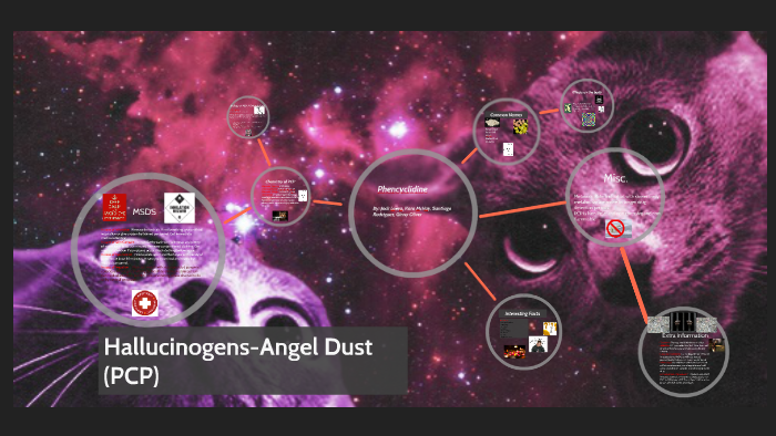 Angel Dust (PCP) by jack loera on Prezi