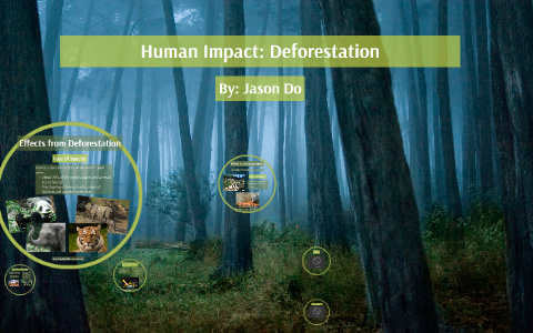 Human Impact: Deforestation Presentation by Jason Do on Prezi