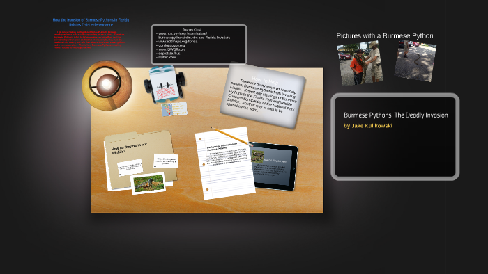 Burmese Pythons: The Deadly Invasion by Jake Kulikowski on Prezi