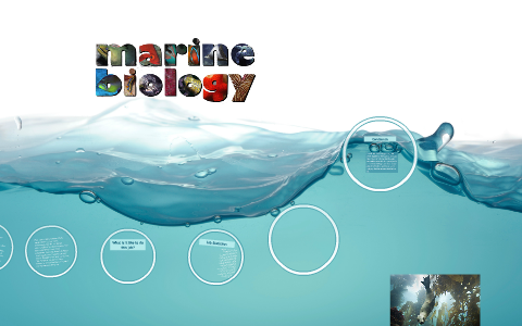 Marine Biology Presentation by Rose Strauss on Prezi