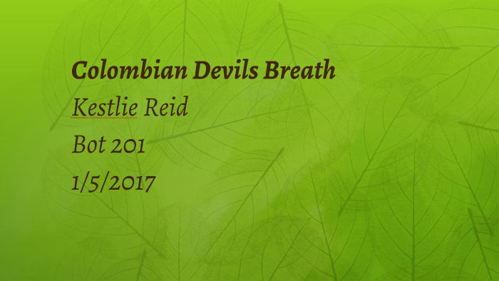 Devils Breath by on Prezi