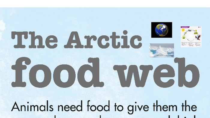 14. The Arctic food web by Charlie M on Prezi