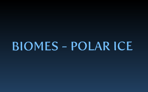 Polar Ice Biome by Sam Johnson on Prezi