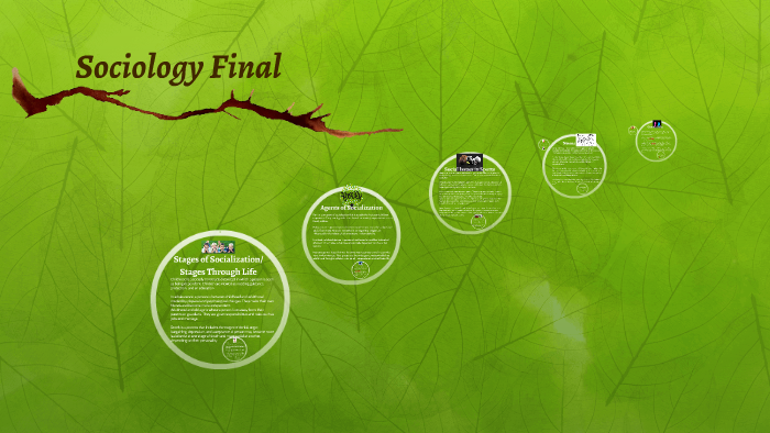 Stages of Socialization/Stages Through Life by Meara G. on Prezi