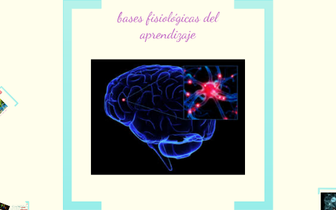 bases fisiológicas del aprendizaje by Fany Salas on Prezi
