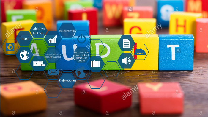 NIA 505 Confirmaciones externas. by Karla Sofía Alegre Chavez