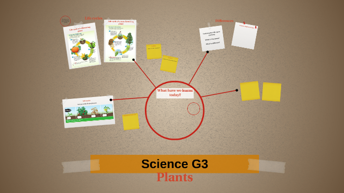 Science G3 by M H on Prezi