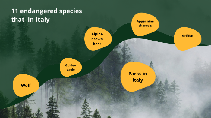 endangered species in Italy by anna taborelli on Prezi