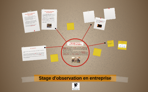 Stage d'observation en entreprise by Romane Emilie on Prezi