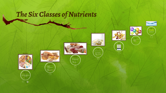 The Six Classes of Nutrients by Alyssa Gilmore on Prezi