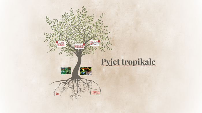 Pyjet tropikale by engjell lekaj on Prezi
