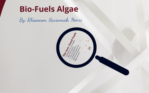 Biomass Algae Presentation by Miami Dolphins on Prezi