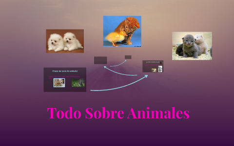 Todo Sobre Animales by victoria chorney on Prezi
