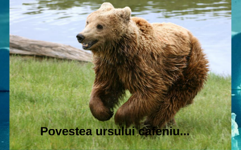 Povestea Ursului cafeniu by Filip Alina on Prezi