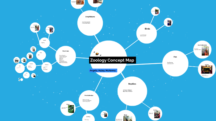 Zoology Concept Map by McKenna Vierling on Prezi