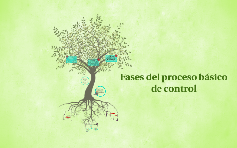 Fases del proceso básico de control by Oscar Ramirez on Prezi