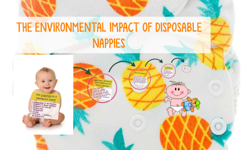 THE ENVIRONMENTAL IMPACT OF DISPOSABLE NAPPIES by Mel Hebb