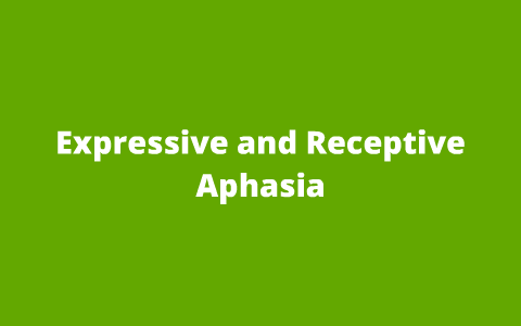 Expressive and Receptive Aphasia by Amanda Brock on Prezi