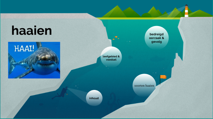 haaien by Gijs Hoolhorst on Prezi