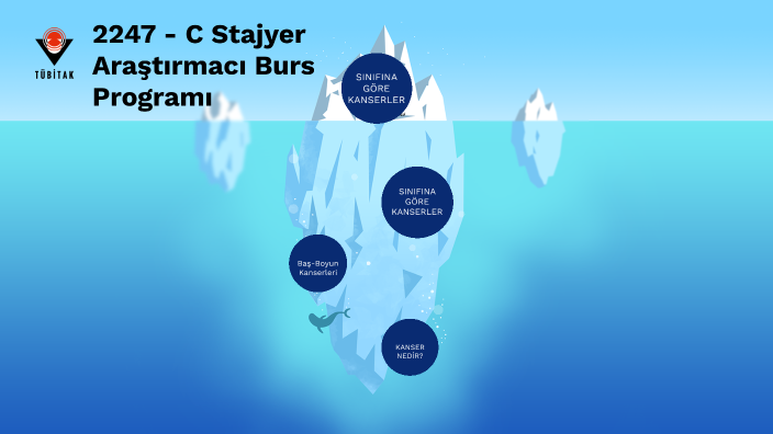 2247 - C Stajyer Araştırmacı Burs Programı by Ayşe Defne Akça on Prezi