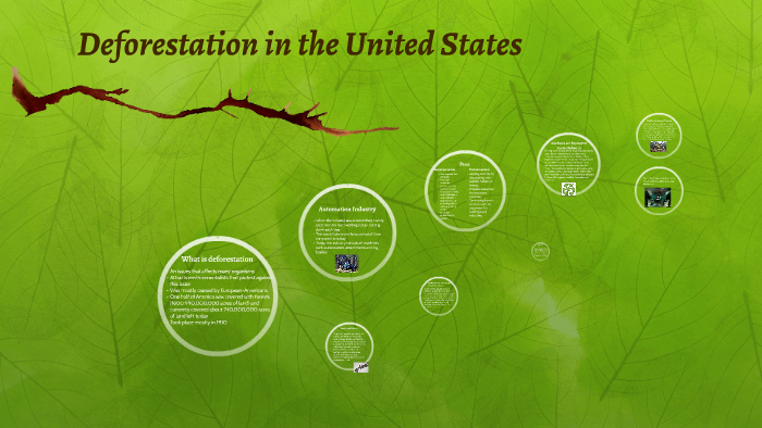 Deforestation in the United States by Da-Vin Lee on Prezi
