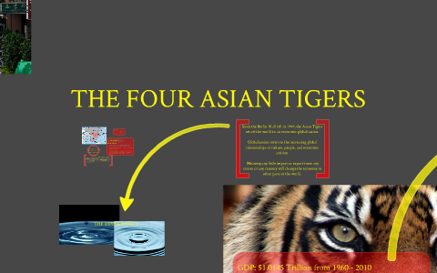 Four Asian Tigers by Becky Truong