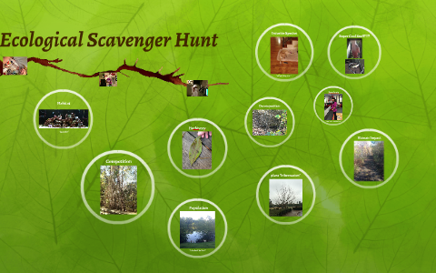 Ecological Scavenger Hunt by francesca healy on Prezi