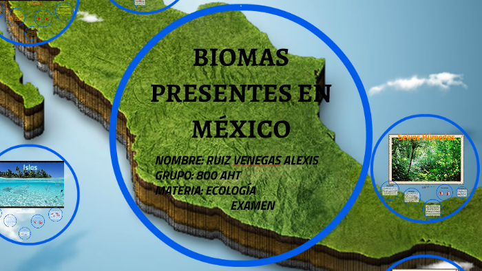 BIOMA DE MÉXICO by Alexis Ruiz on Prezi