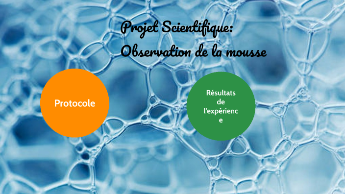 Woicki Robin Savio MathieuProjet Scientifique by Rob yolo on Prezi