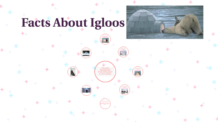 Facts about Igloo by Cecilia Taylor on Prezi