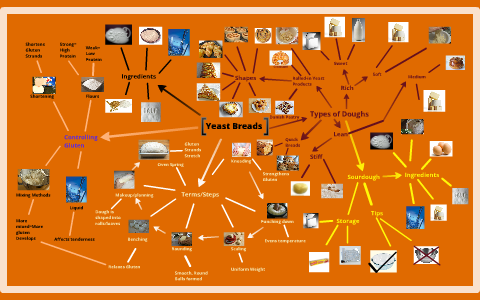 Yeast Breads Mind map by Mitch Mitch on Prezi