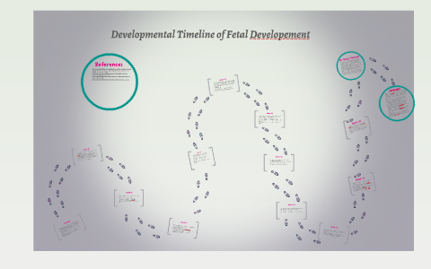 Developmental Timeline of Fetal Developement by Katherine Johnson on Prezi