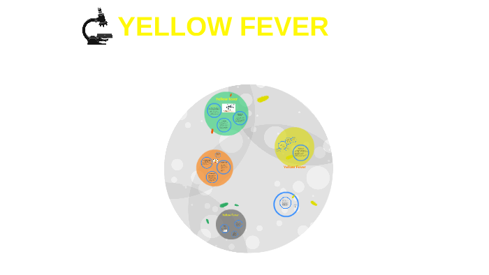 YELLOW FEVER by Microbiology Team on Prezi