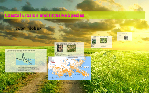 Coastal Erosion and Invasive Species by Ben Thibodeaux