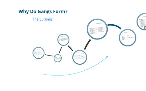 Why do Gangs form? by katelyn hart