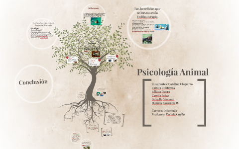 Psicología Animal by Daniela Bernal on Prezi